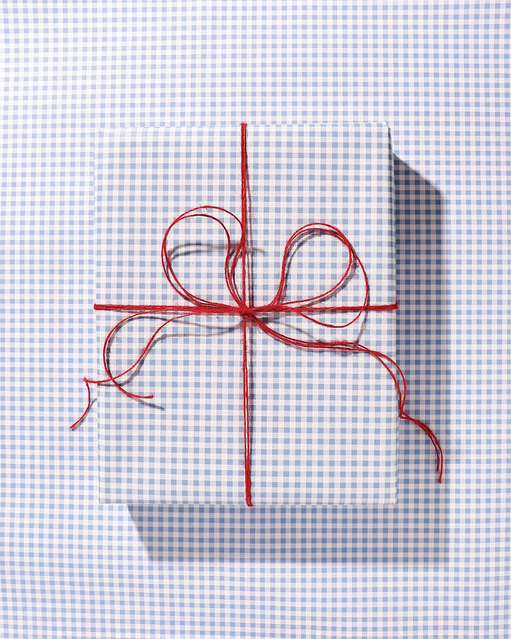 Garden Gingham Wrapping Paper Blue – Friend of Mine